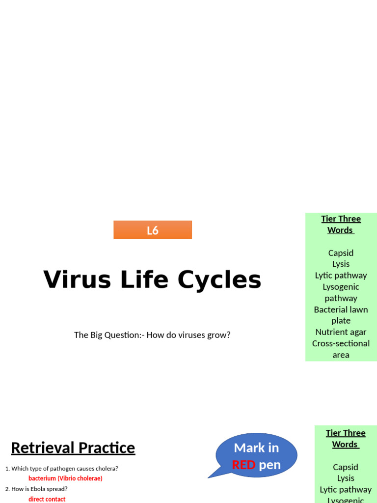 B5 Health Disease Lesson 6 | PDF | Virus | Pathogen