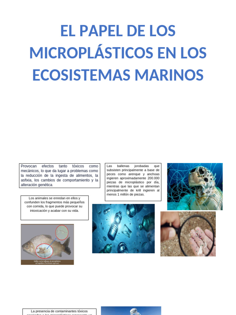 Impacto de Microplásticos en Océanos | PDF | Salud y bienestar
