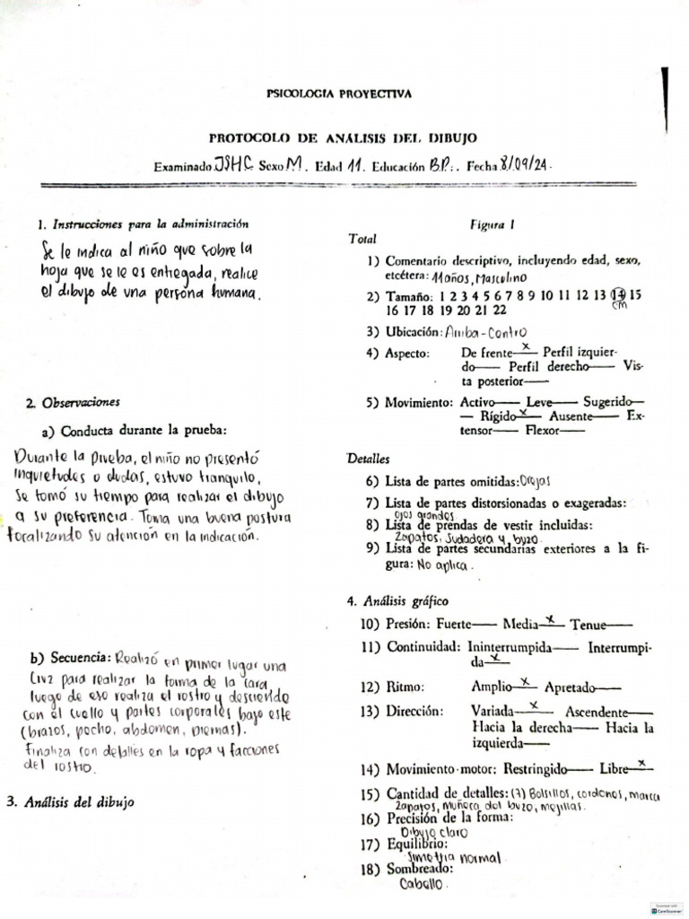 Protocolo Análisis Del Dibujo | PDF