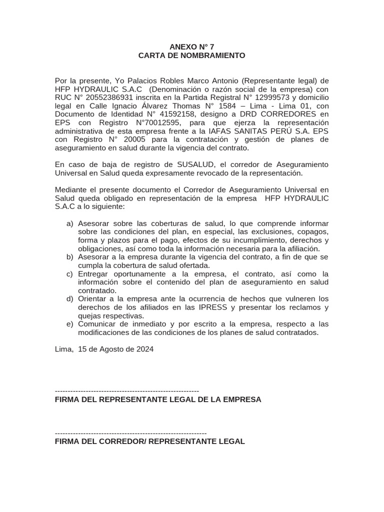 ANEXO N7 Carta de Nombramiento | PDF