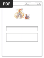 Ppt-Grade 9 - Respiratory System | PDF | Respiratory Tract | Lung