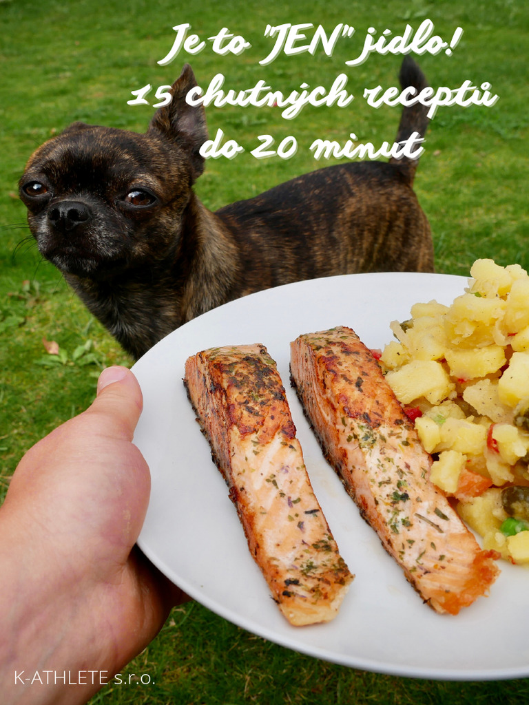 Je To JEN Jã Dlo! 15 Chutnã CH Receptå Do 20 Minut | PDF