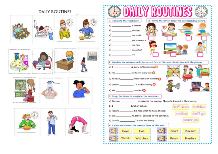 Daily Routines - Worksheet. | PDF