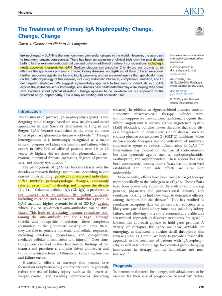 The Treatment of Primary IgA Nephropathy Change | PDF | Antibody ...