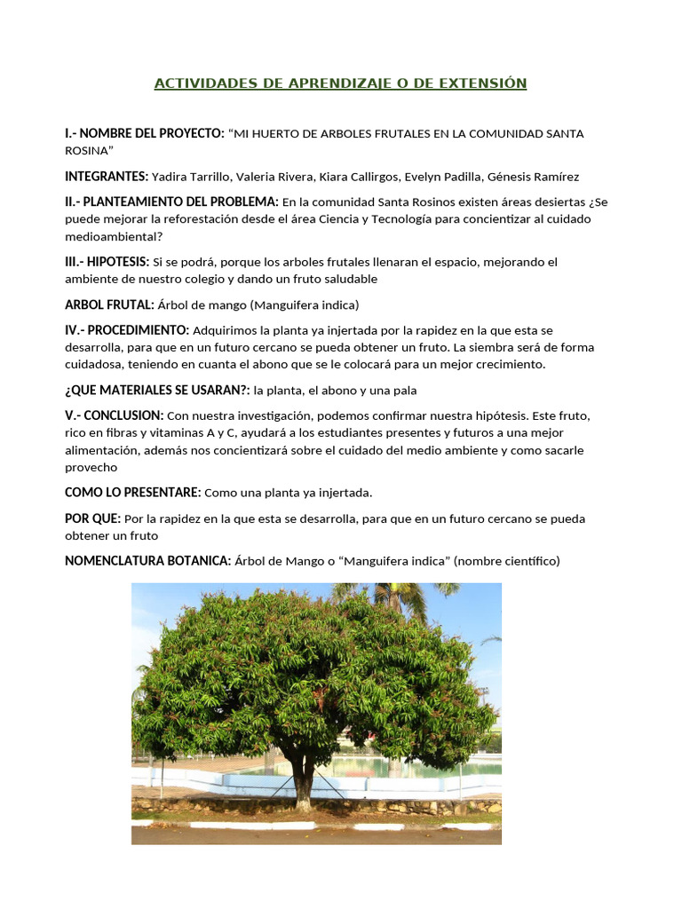 Actividades de Aprendizaje o de Extensión | PDF