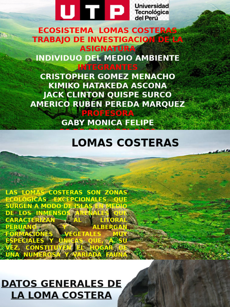 Lomas Costeras (10273) | PDF | Agricultura | Ecosistema