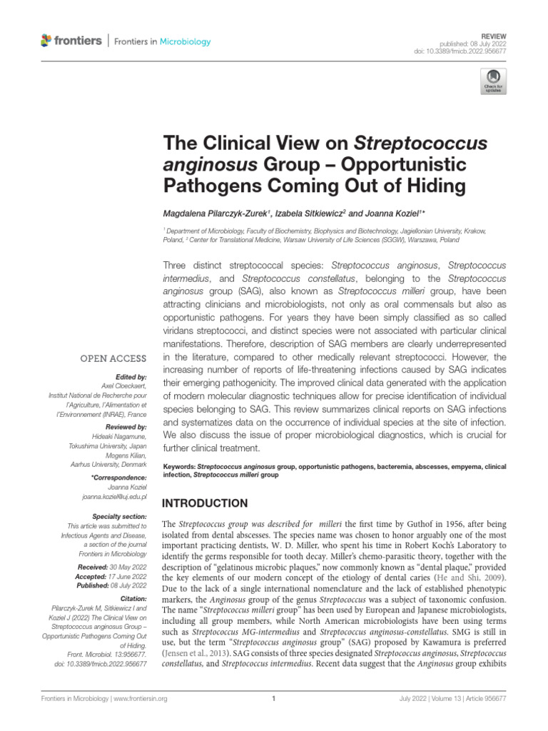 The Clinical View On Streptococcus Anginosus Group | PDF | Streptococcus | Infection