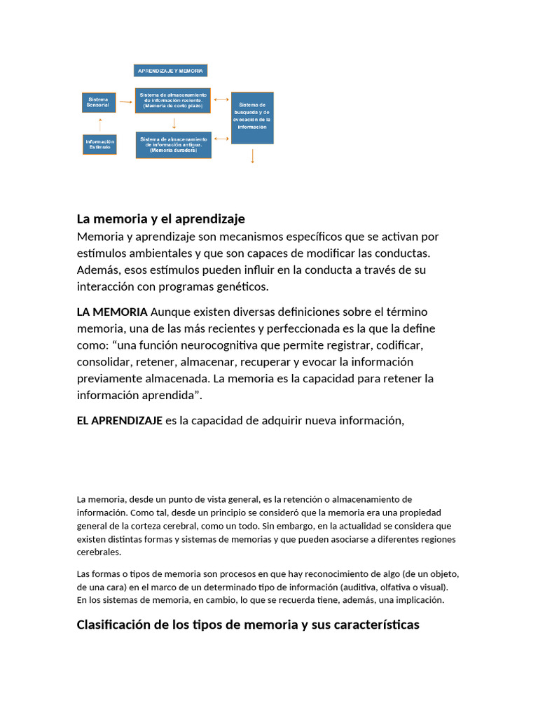 La Mamoria y El Aprendizaje | PDF | Memoria | Aprendizaje