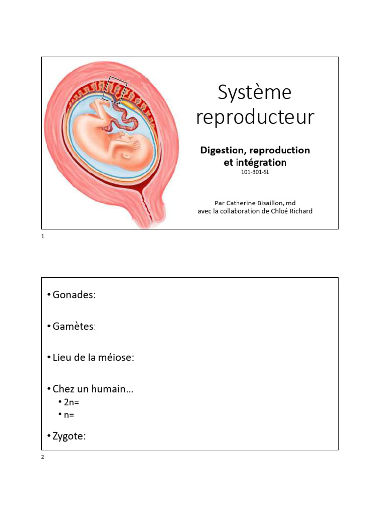 Système reproducteur féminin et cycles | PDF | Utérus | Cycle menstruel