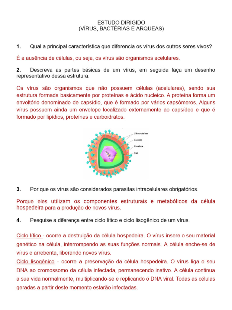 Características de Vírus, Bactérias e Arqueas | PDF | Vírus | Bactérias