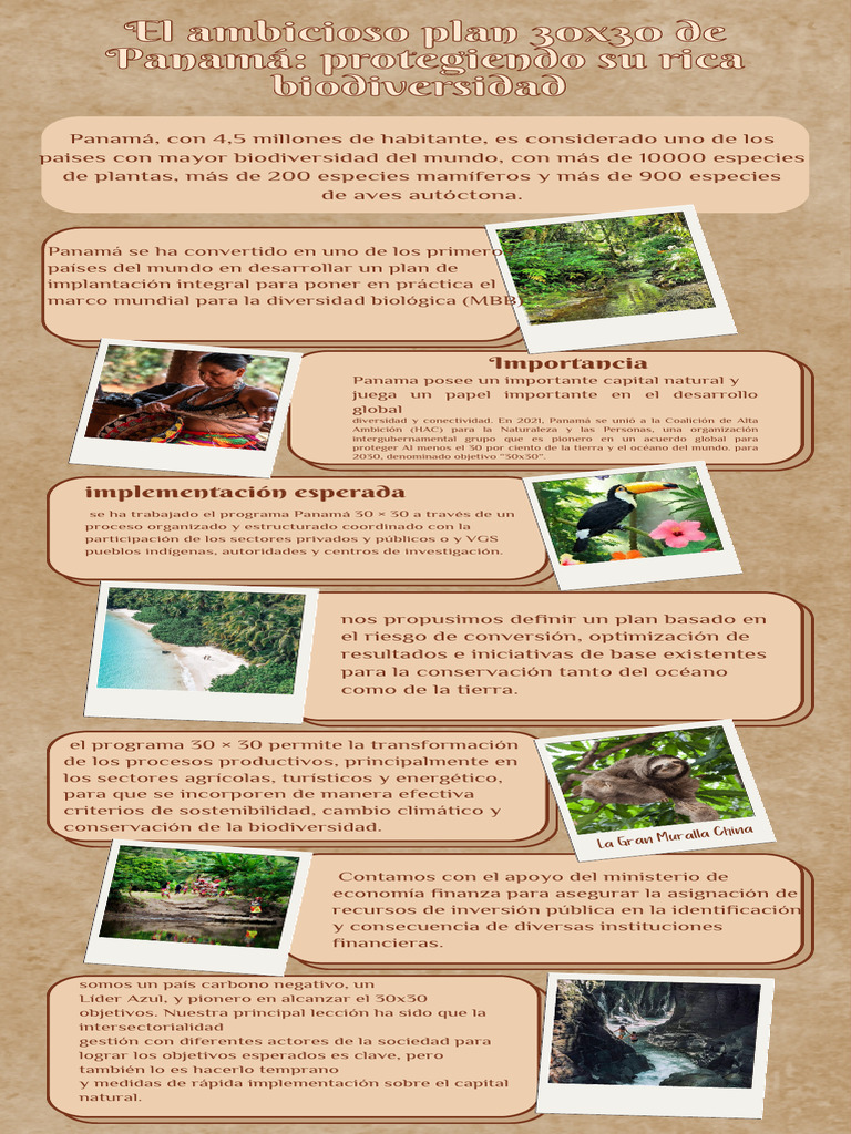 Infografía Sobre La Biodiversidad de Panamá | PDF | Biodiversidad | Panamá