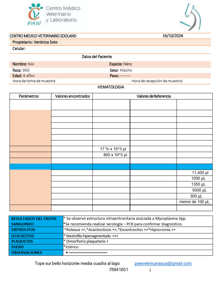 BHC Niki 161024 | PDF | Hematología | Sangre