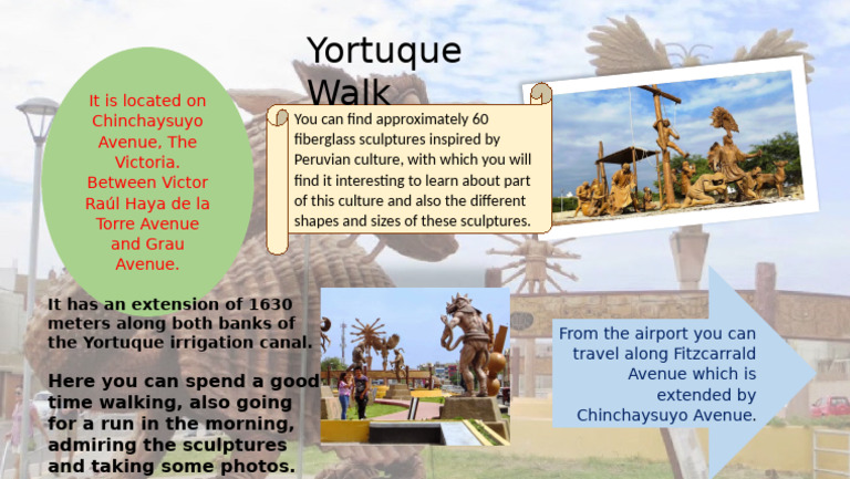 Oral Project Vii | PDF