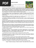 Cuento - Raton de Campo y Ciudad | PDF