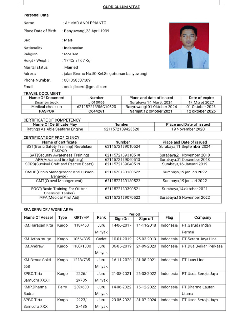 CV Ahmad Andi | PDF