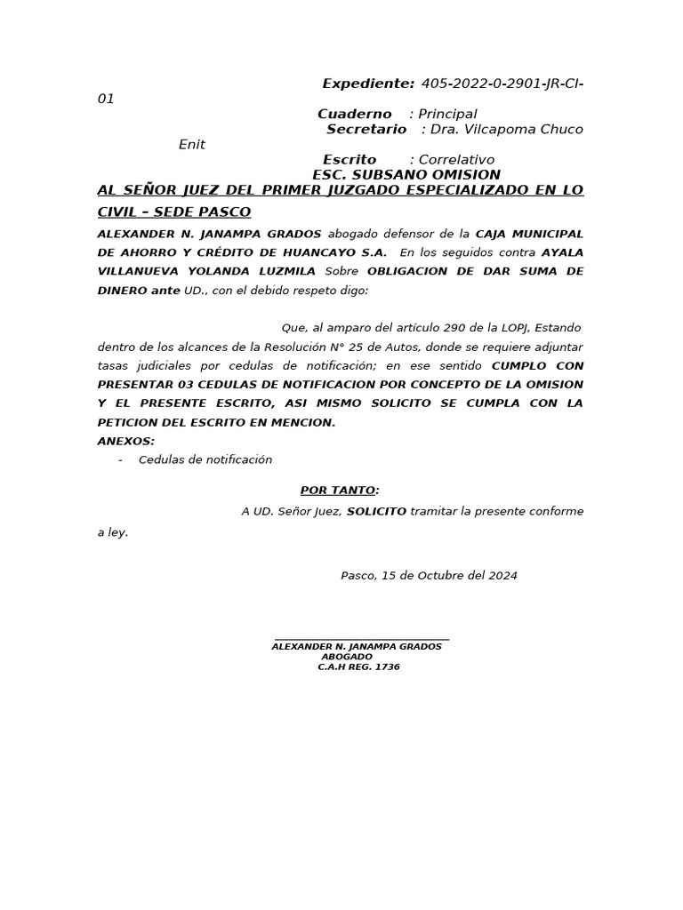 Esc. Adjunto Documentos en Fisico | PDF