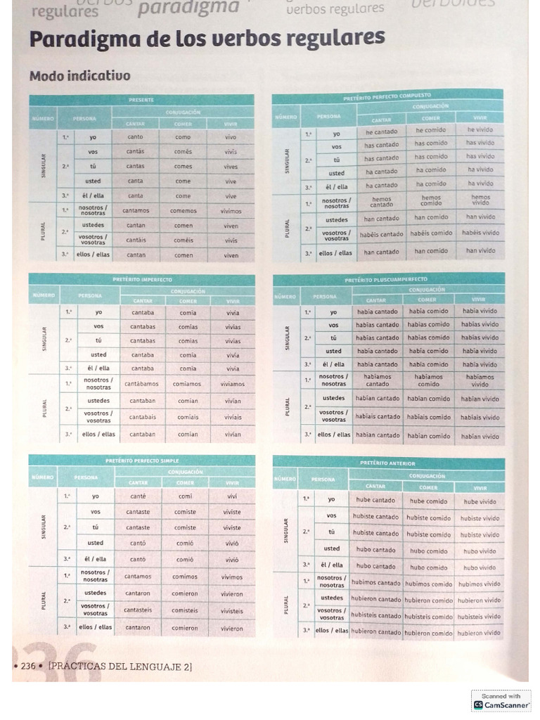 Paradigmas Verbales | PDF
