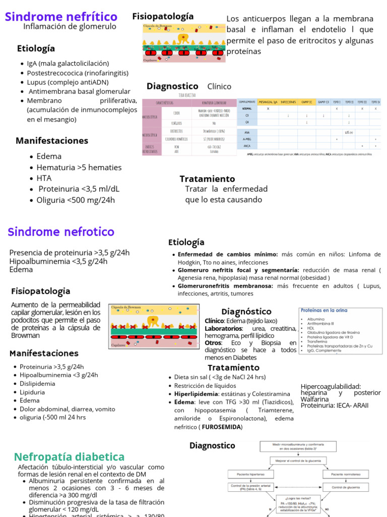 Nefro | PDF | Especialidades Medicas | Riñón