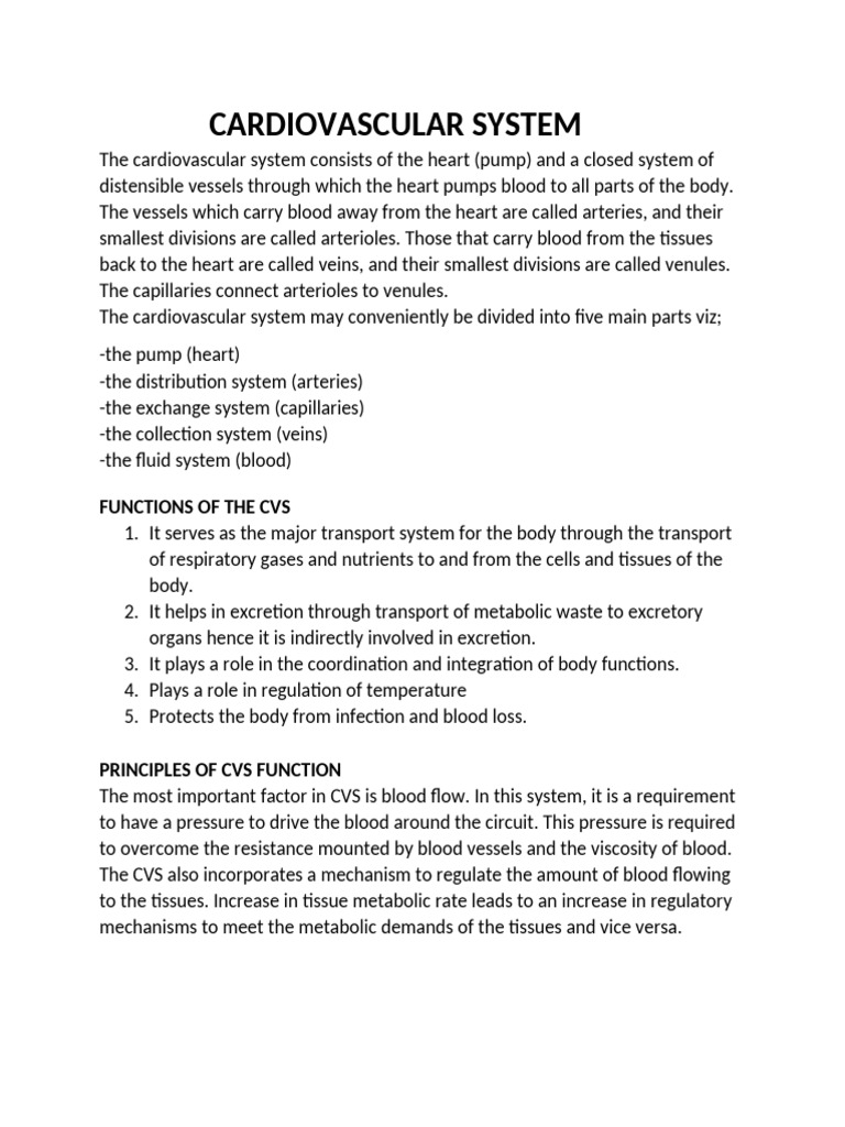 Cardiovascular System | PDF | Heart Valve | Atrium (Heart)
