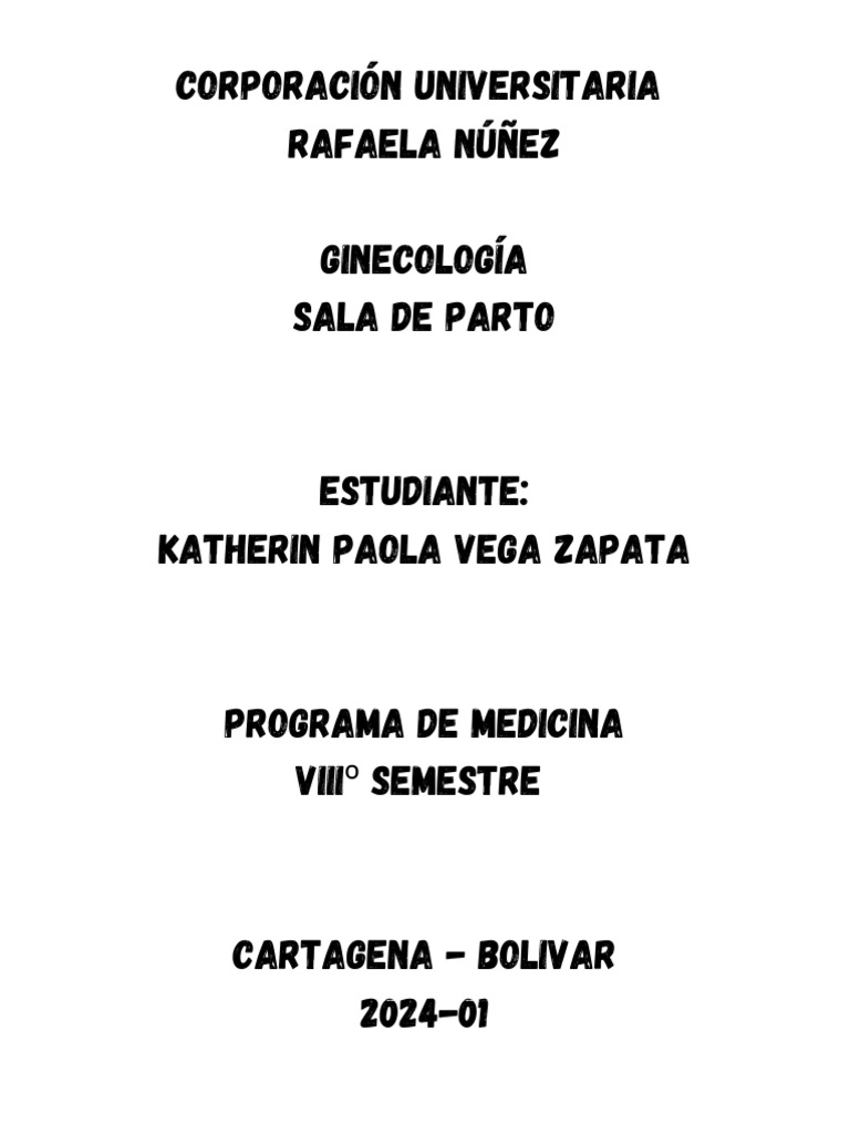 Anatomía Genitales Externos | PDF | Labios | Vagina