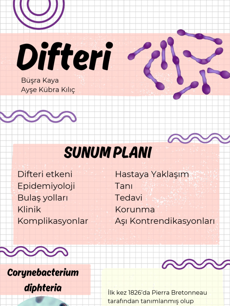 Bacteria Biology Presentation In A Bold Colorful Style Pdf
