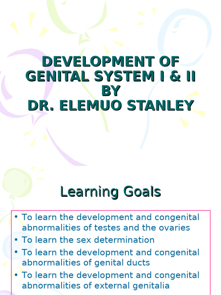 Development of Genital System | PDF | Testicle | Vagina