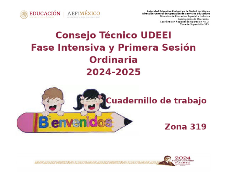 Consejo Técnico UDEEI | PDF