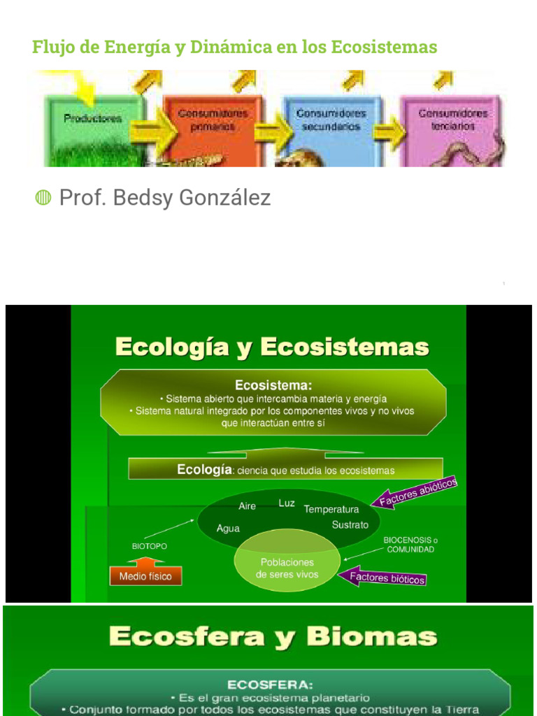 Flujo de Energìa en Los Ecosistemas | PDF | Caloría | Producción primaria