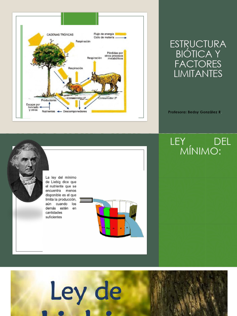 Factores Limitantes | PDF | Depredación | Red alimentaria