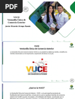 INSTRUCTIVO PROCEDIMIENTO PARA EL REGISTRO ANTE LA VUCE DEF 31ago2022 | PDF | Usuario ...