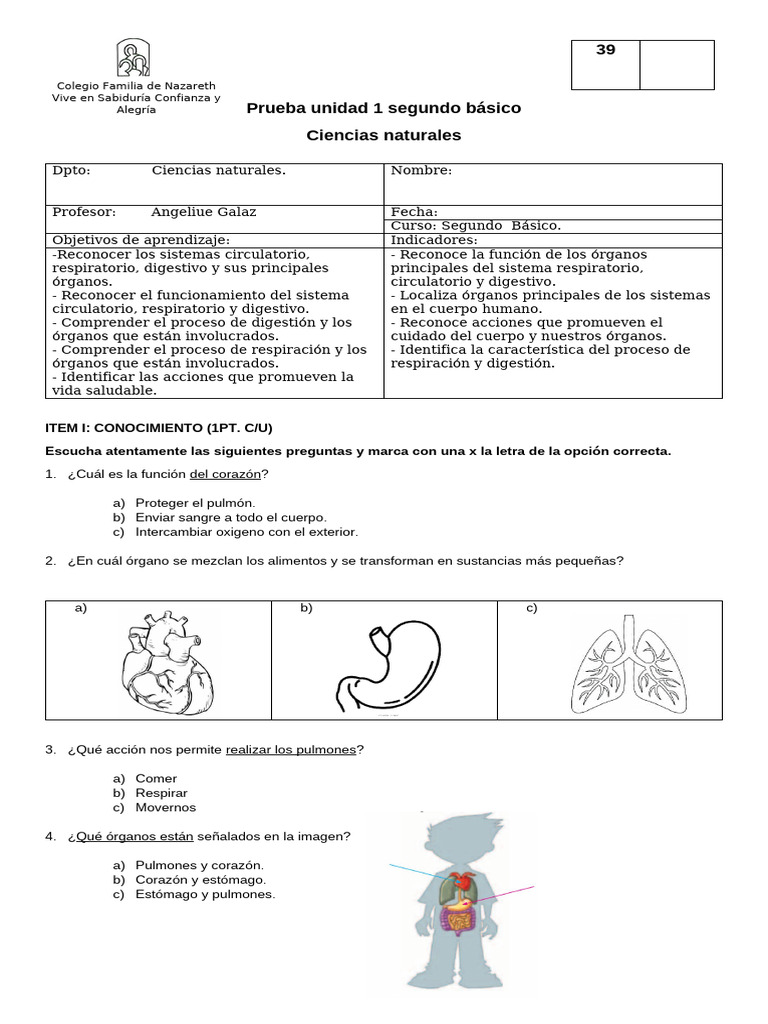 Prueba Unidad 1. Los Sistemas Del Cuerpo. (Recuperado Automáticamente ...
