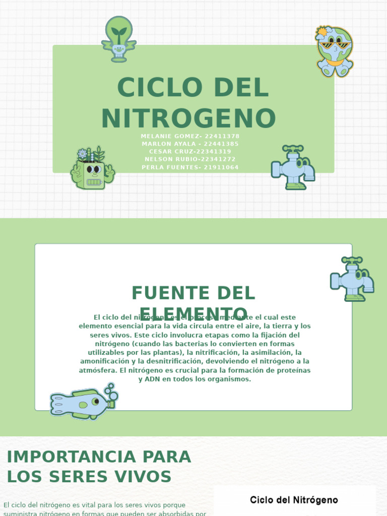 Presentación Ecología-Grupo 4 - Ciclo Del Nitrógeno | PDF | Nitrógeno ...