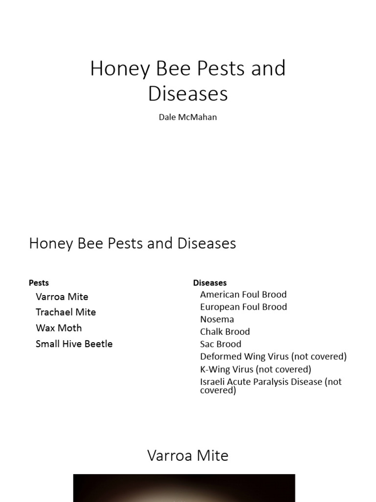 Honey Bee Diseases Presentation | PDF | Honey Bee | Bees