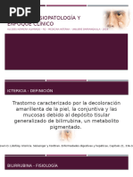 Bula Hominus | PDF | Antígeno específico de la próstata | Cancer de ...