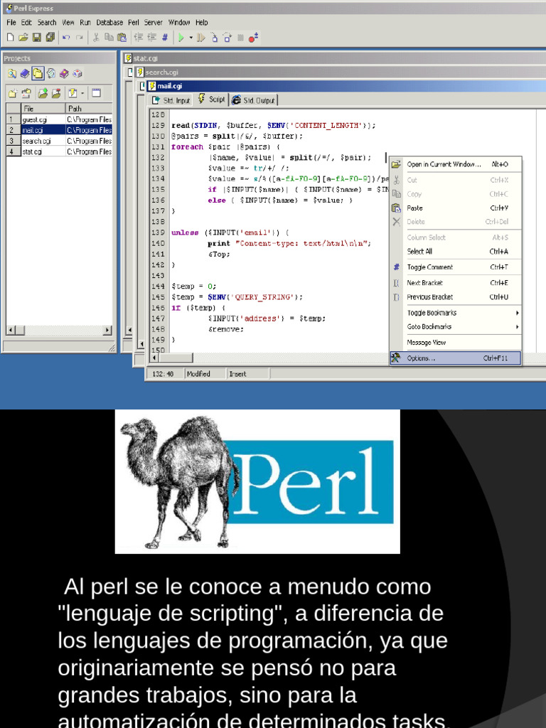 Perl Lenguaje de Programacion | PDF | Perl | Lenguaje de programación