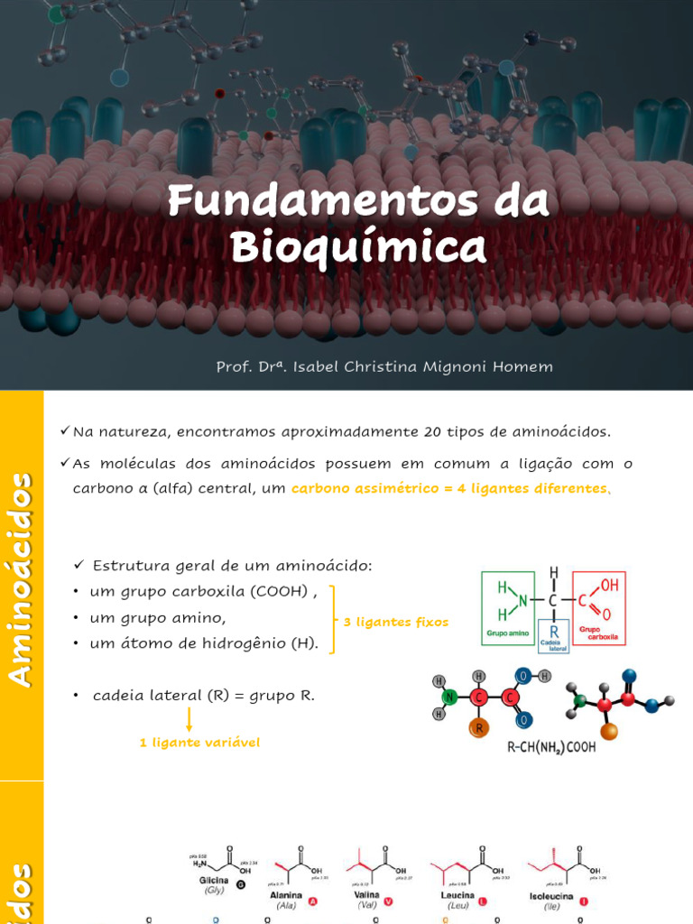 Bioqu Mica - Aula 4 - Amino Cidos Prote Nas e Enzimas | PDF | Enzima | Aminoácido