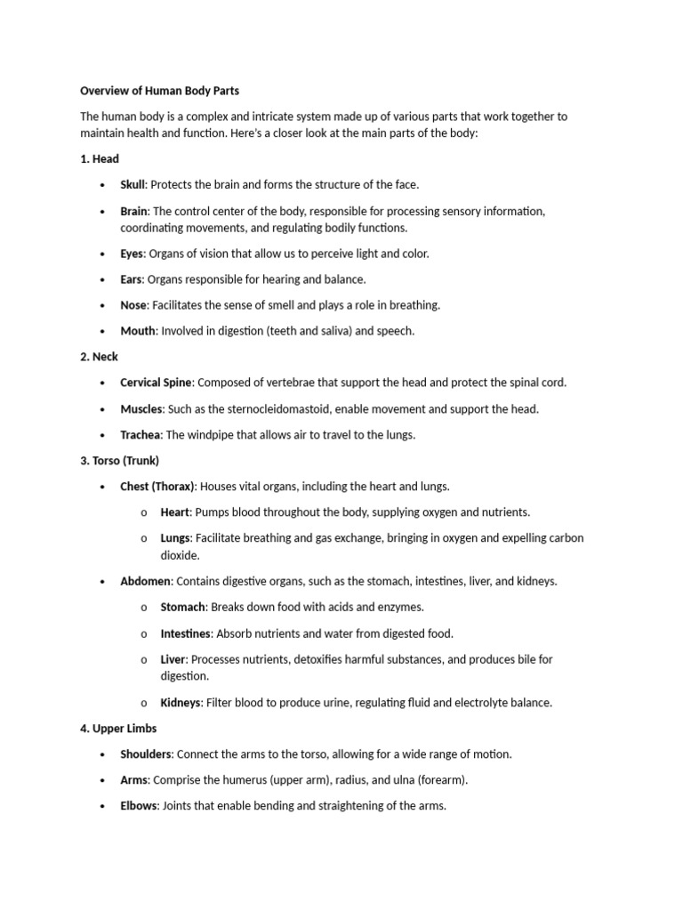 Overview of Human Body Parts | PDF | Human Body | Arm