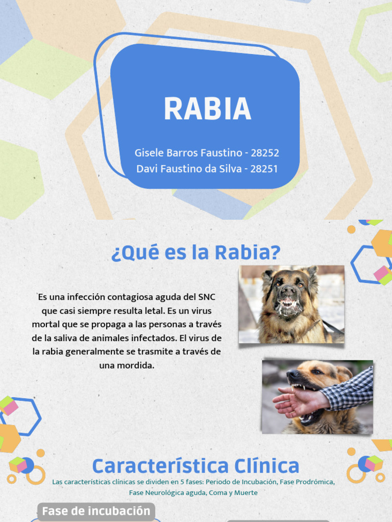 Rabia: Infección Letal y Epidemiología | PDF | Rabia | Salud pública
