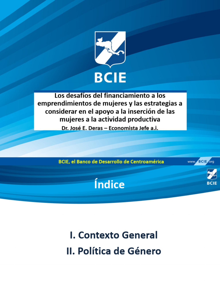 Los Desafios Del Financiamiento A Los Emprendimientos de Mujeres y Las ...