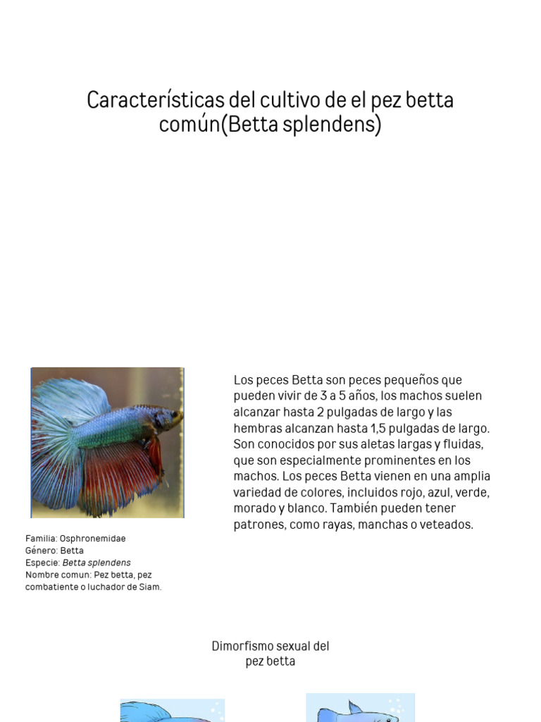 Indicaciones Presentación de La Especie - PPTX - 20241007 - 102459 - 0000 | PDF | Pescado
