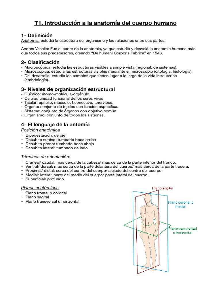 Anatomia Tema 1 | PDF | Términos anatómicos de ubicación | Anatomía
