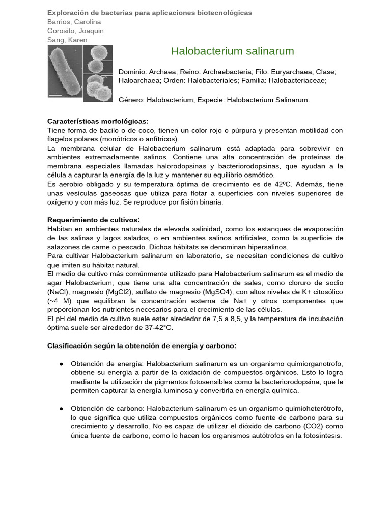 Halobacterium Salinarum | PDF | Bacteriorhodopsin | Fotosíntesis