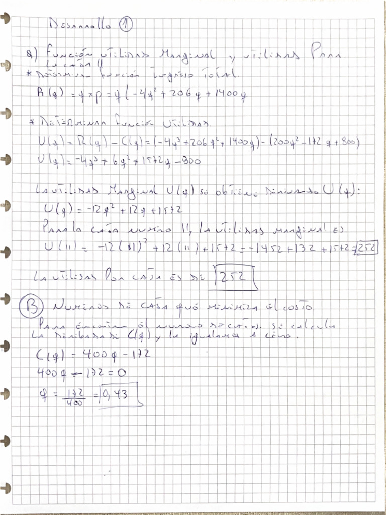 Desarrollo 1 Examen | PDF