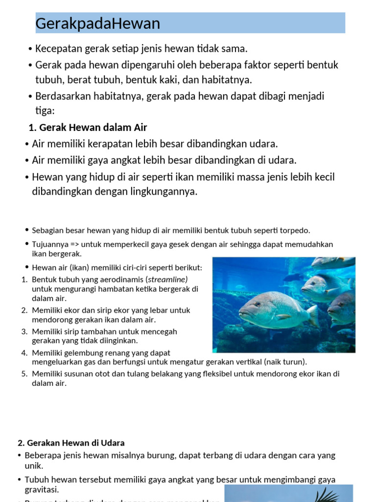 Sistem Gerak Pada Manusia 4 Neww (Autosaved) | PDF