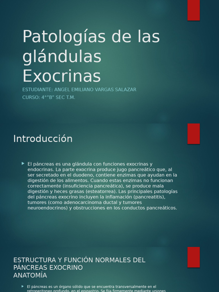 Patologías del Páncreas Exocrino | PDF | Ciencias sociales | Salud y ...