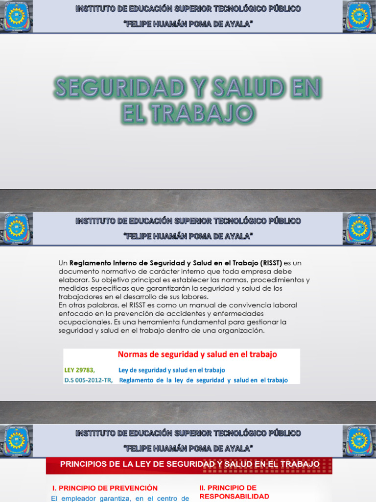 Seguridad y Salud en El Trabajo | PDF