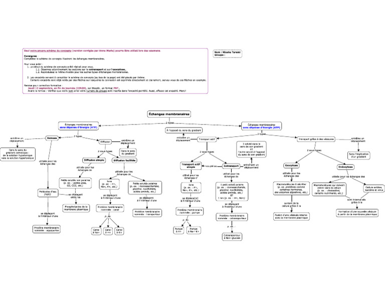 101-SN1 - Chap.3 - Échanges Membranaires Étudiant - Es 2024.cmap | PDF