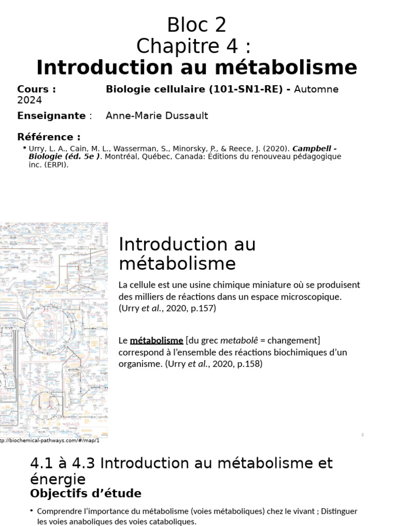 101-SN1-RE - Chapitre 4 - Théorie 2024 | PDF | Enzyme | Inhibiteur enzymatique