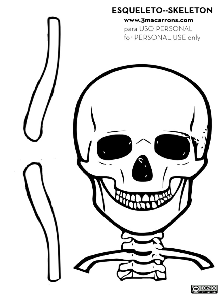 Esquelet Tamano Real Pdf