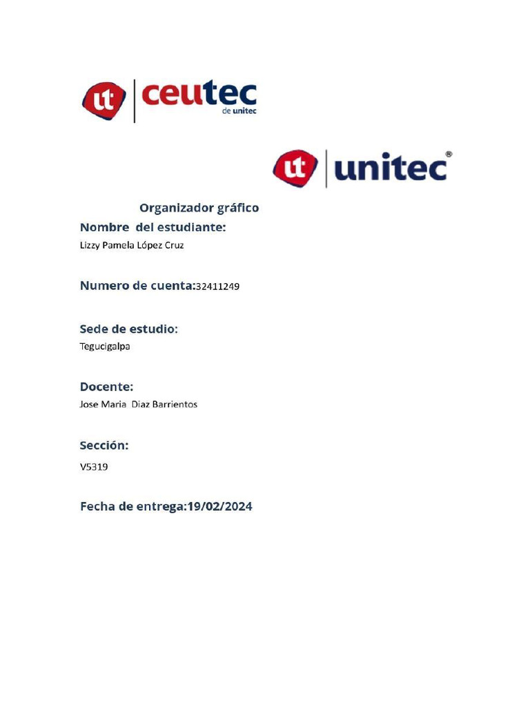 Lizzy Pamela Lopez 32411249 | PDF | Planificación | Cognición